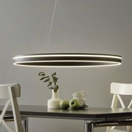 Q-SMART-HOME Paul Neuhaus Q-VITO LED-Hängelampe 79 cm anthrazit