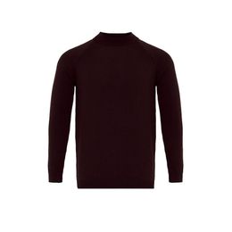 Antioch Pullover Herren Gr&ouml;&szlig;e L braun