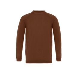 Antioch Pullover Herren Gr&ouml;&szlig;e S braun