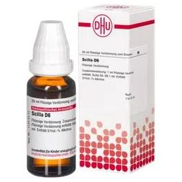 DHU-Arzneimittel Scilla D 6 Dilution 20 ml