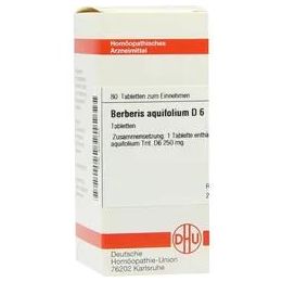 DHU-Arzneimittel Berberis Aquifolium D 6 Tabletten 80 St