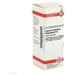 DHU-Arzneimittel Calcium Carbonicum Hahnemanni D 8 Dilution 20 ml