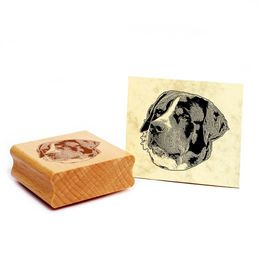 Dekolando Stempel Motivstempel Schweizer Sennenhund Stempel Hund Holzstempel 48 x 43 mm