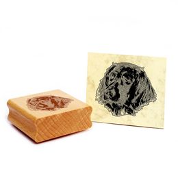 Dekolando Stempel Motivstempel Grosser Münsterländer Stempel Hund Holzstempel 48 x 43 m
