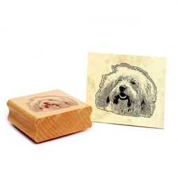 Dekolando Stempel Motivstempel Coton de Tuléar Stempel Hund Holzstempel 48 x 42 mm