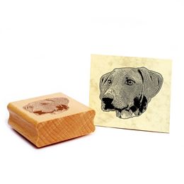 Dekolando Stempel Motivstempel Azawakh Stempel Hund Holzstempel 48 x 41 mm