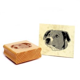 Dekolando Stempel Motivstempel Österreichische Pinscher Stempel Hund Holzstempel 48 x 3
