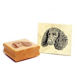 Dekolando Stempel Motivstempel American Water Spaniel Stempel Hund Holzstempel 48 x 41 m