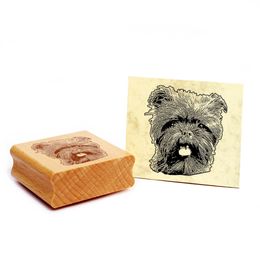 Dekolando Stempel Motivstempel Affenpinscher Stempel Hund Holzstempel 45 x 48 mm