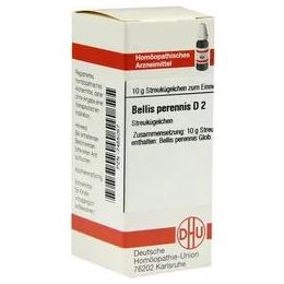 DHU-Arzneimittel BELLIS PERENNIS D 2 Globuli