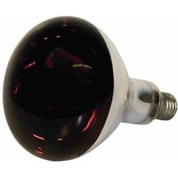 Kerbl - Infrarotlampe 250 w rot hartglas