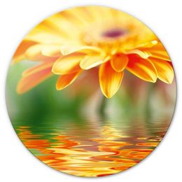 K&L WALL ART Bedrucktes Sicherheitsglas Wandbild Rund Glasbild Gerbera Spiegelung Blumen Fotografie ø 70cm - orange