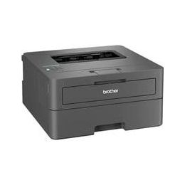 Brother HL-L2400DW, Laserdrucker dunkelgrau, USB, WLAN, Duplex (Druck)