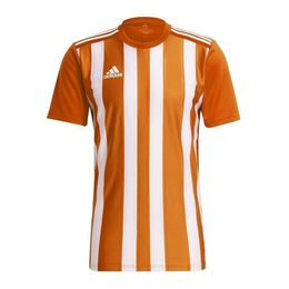 adidas Performance Fußballtrikot Striped 21 Trikot kurzarm