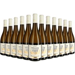 Domaine Lafage Paket 12 Flaschen Novellum Chardonnay 2022 weiss 0.75 l