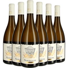 Domaine Lafage Paket 6 Flaschen Novellum Chardonnay 2022 weiss 0.75 l