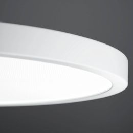 Waldmann LED-Hängelampe VIVAA 2.0 Ø60cm Kabel weiß 3.000K