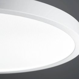 Waldmann LED-Hängelampe VIVAA 2.0 Ø45cm Kabel weiß 4.000K