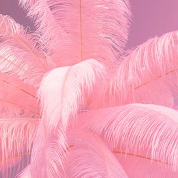 KARE Feather Palm Stehleuchte mit Federn, pink