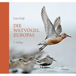 haupt Die Watvögel Europas - Lars Gejl, Gebunden