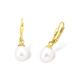 Perlenohrringe Amor "2013828" Ohrringe Gr. Gelbgold 375-Perlen, weiß (gelbgoldfarben, weiß) Damen Perlenohrringe