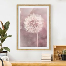MICASIA - Bild mit Rahmen - Pusteblume Bokeh rosa Größe HxB: 24cm x 18cm, Rahmen: Eiche