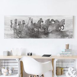 MICASIA Leinwandbild - Weiße Pferde im Meer - Panorama Quer Größe HxB: 30cm x 90cm