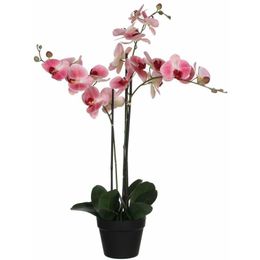 Mica Decorations - Mica Kunstpflanze Phalaenopsis im Topf rosa, 75 x 51 x 79 cm Kunstpflanzen