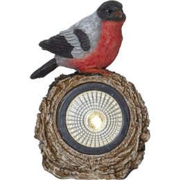 STAR TRADING - Best Season Display LED-Solar-Figur 'Birdie', 9 Stück