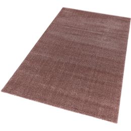 Teppich Astra "Savona 180" Teppiche Gr. B/L: 160 cm x 230 cm, 20 mm, 1 St., lila (aubergine) Esszimmerteppiche