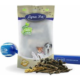 LYRA PET - 5 kg ® Lammpansen + Ballschleuder