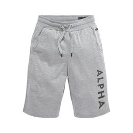 Alpha Industries Sweatshorts Jersey Short, grau
