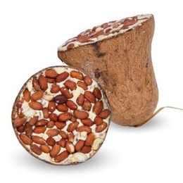 LYRA PET Futterglocke mit Erdnüssen 3x8 Stück