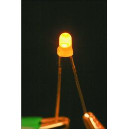 SOL-EXPERT group Experimentierkasten Leuchtdiode gelb (3mm)