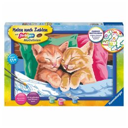 Ravensburger Malen nach Zahlen Verschmuste Kätzchen