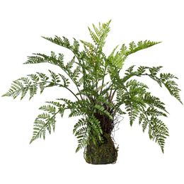 Kunstpflanze Farn, Creativ green, Höhe 50 cm, grün