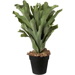 Künstliche Zimmerpflanze, Creativ green, Höhe 45 cm, grün