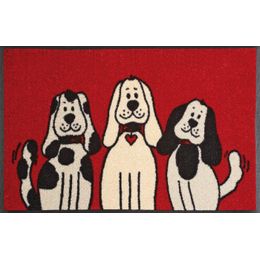 Fußmatte Three Dogs, wash+dry by Kleen-Tex, rechteckig, Höhe: 9 mm, Schmutzfangmatte, Motiv Hunde, rutschhemmend, waschbar, beige|rot