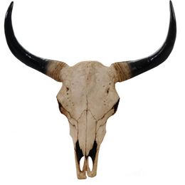 HHG - neuwertig] Deko Schädel 64cm, Polyresin Stier Bulle Longhorn Kopf Trophäe, In-/Outdoor natur - brown