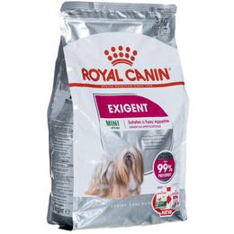 Royal Canin - ccn mini exigent – Trockenfutter für erwachsene Hunde – 3 kg