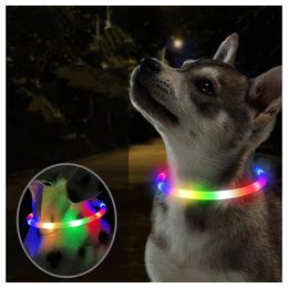 autolock Hundehalsbandleuchte Hundehalsband Leuchtend