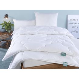 Kunstfaserbettdecke F.A.N. Schlafkomfort "Texas" Bettdecken Gr. B/L: 155 cm x 220 cm, normal, weiß Steppbettdecke