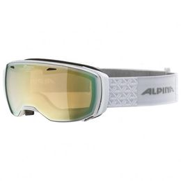 Alpina - Estetica HM S2 - Skibrille grau