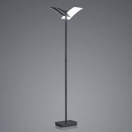 LED-Stehleuchte Dual CCT, dimmbar, schwarz