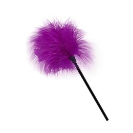 TOYJOY Sexy Feather Tickler