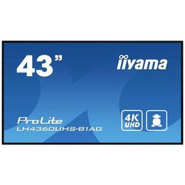 iiyama PROLITE LH4360UHS-B1AG Digital Signage Display EEK: G (A - G) 108 cm 42.5 Zoll 3840 x 2160 Pixel 24/7