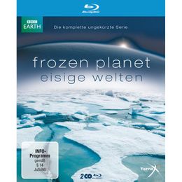 Frozen Planet - Eisige Welten (Blu-ray)