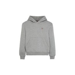 Dickies Sweatshirt 'Youth Oakport' Jungen Gr&ouml;&szlig;e 158/164 grau
