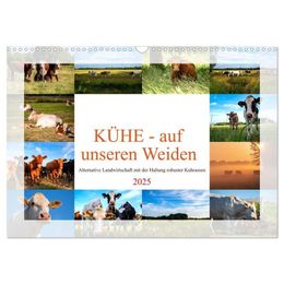 Kühe - auf unseren Weiden (Wandkalender 2025 DIN A3 quer), Calvendo Monatskalender