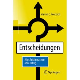Springer Berlin Heidelberg Entscheidungen - Marian C. Poetzsch, Kartoniert (TB)